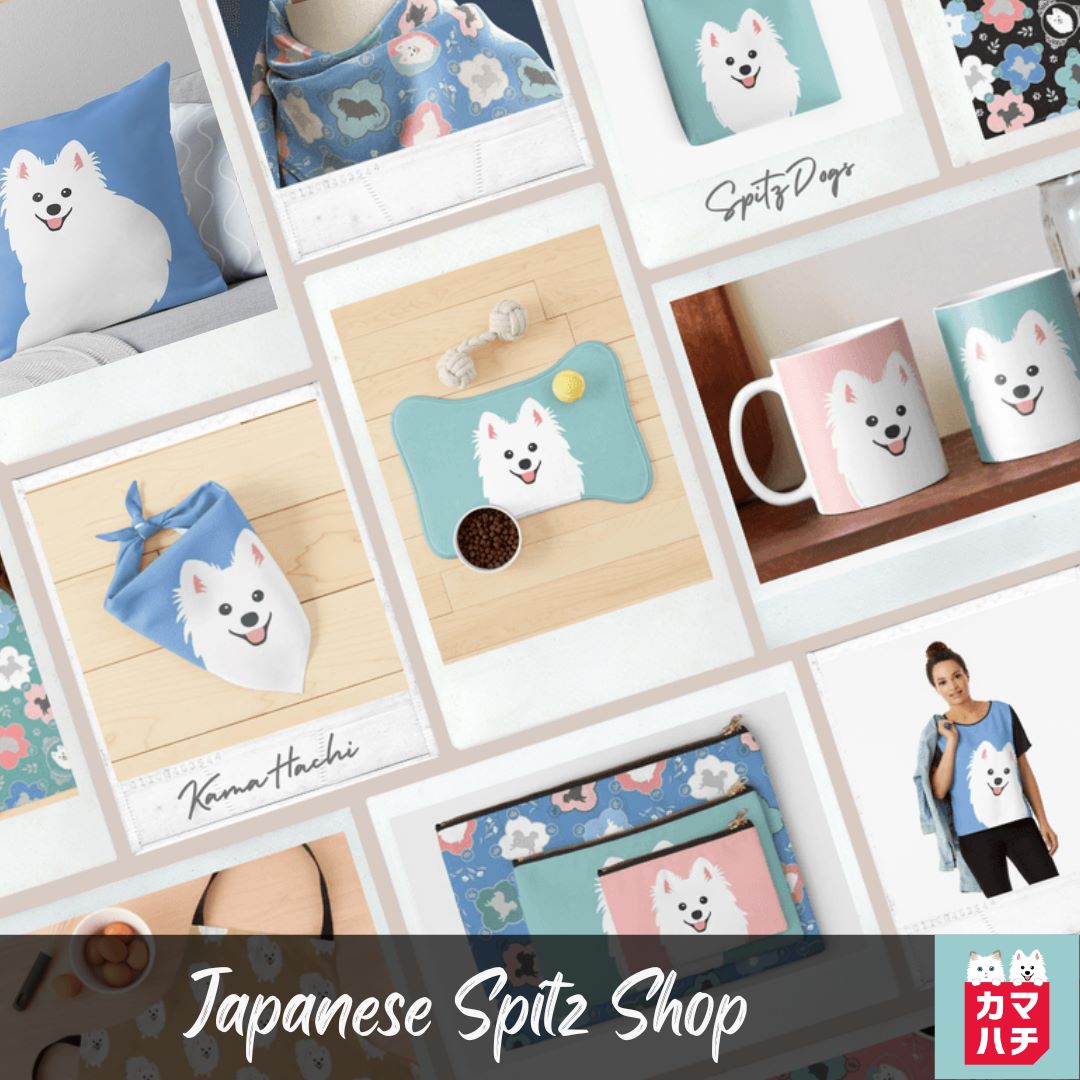 How to take prescription medicines on your Japan trip (Yunyu Kakunin ...